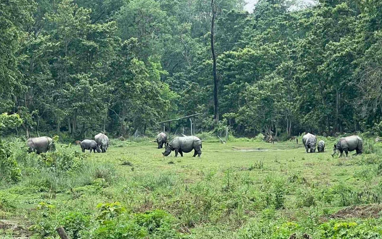 वन्यजन्तु जोगाउन संरक्षण पाठशाला सञ्चालन « Dainik Nepal | The Daily ...